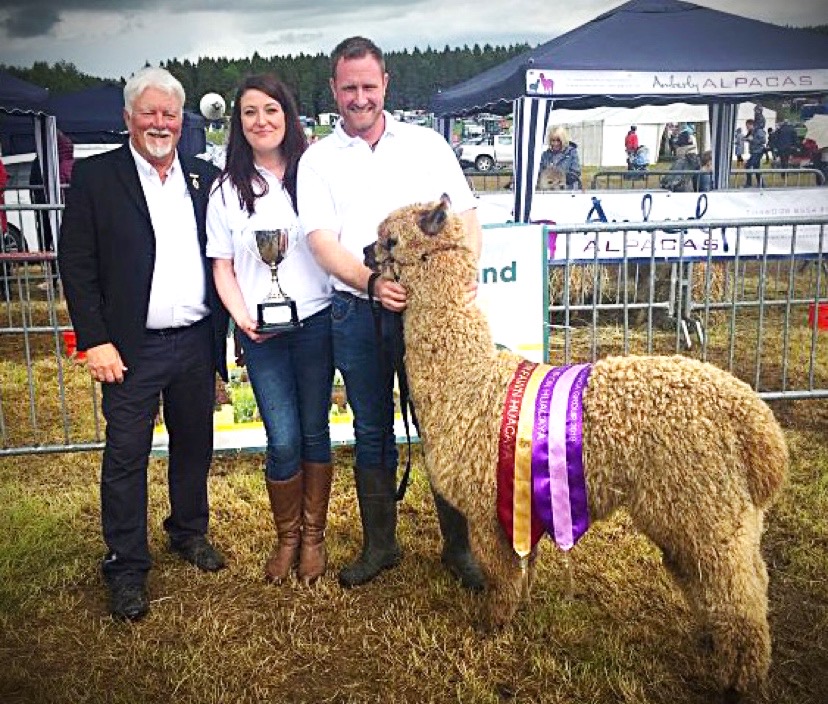 FAQs - Ballymac Alpaca - Breeding and Sales